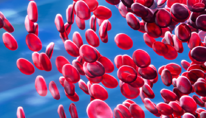 Development and validation of a novel risk stratification...